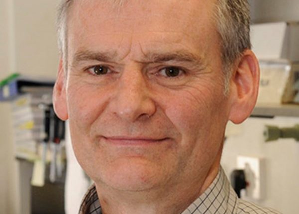 Anthony Maxwell – REVIVE